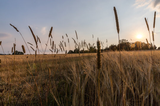 รูปภาพFelder – เลือกดูภาพถ่ายสต็อก เวกเตอร์ และวิดีโอ53,180 | Adobe Stock