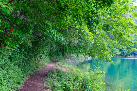 連 Images – Browse 989 Stock Photos, Vectors, and Video | Adobe Stock