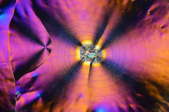 รูปภาพMicrophoto – เลือกดูภาพถ่ายสต็อก เวกเตอร์ และวิดีโอ1,133 | Adobe ...