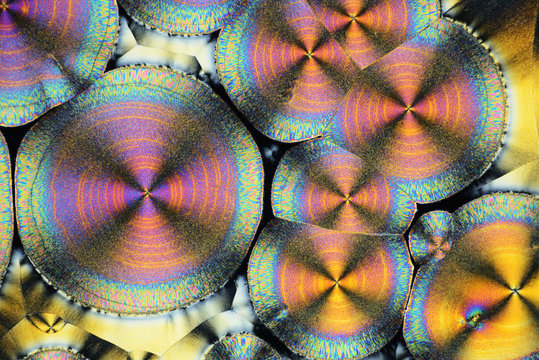 Microphoto Bilder – Durchsuchen 1,131 Archivfotos, Vektorgrafiken und ...