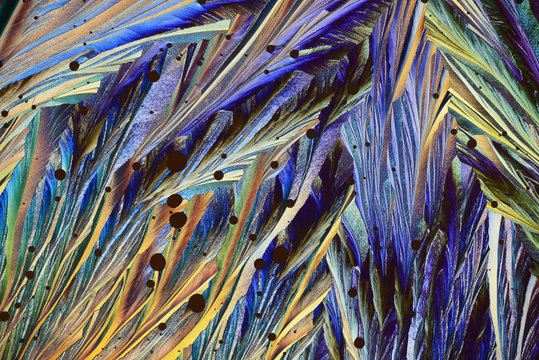 รูปภาพMicrophoto – เลือกดูภาพถ่ายสต็อก เวกเตอร์ และวิดีโอ1,133 | Adobe ...