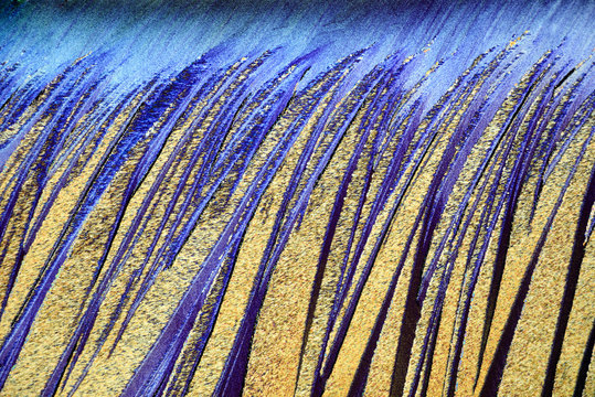 รูปภาพMicrophoto – เลือกดูภาพถ่ายสต็อก เวกเตอร์ และวิดีโอ1,133 | Adobe ...