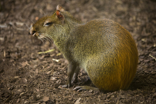 รูปภาพSereque – เลือกดูภาพถ่ายสต็อก เวกเตอร์ และวิดีโอ1,698 | Adobe Stock
