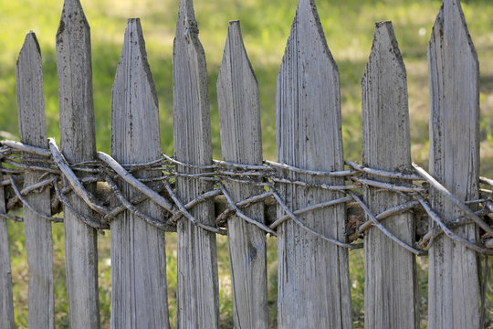Weidengeflecht-Bilder: Stock-Fotos & -Videos. | Adobe Stock