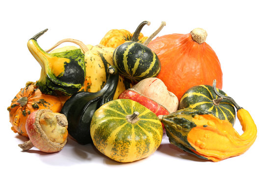 Coloquintes Images – Browse 5 Stock Photos, Vectors, and Video | Adobe ...