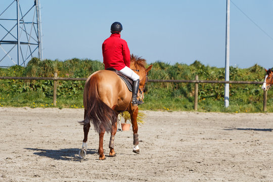 รูปภาพBridon – เลือกดูภาพถ่ายสต็อก เวกเตอร์ และวิดีโอ88 | Adobe Stock