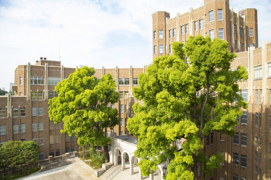 Disownment Bilder – Durchsuchen 495 Archivfotos, Vektorgrafiken und ...