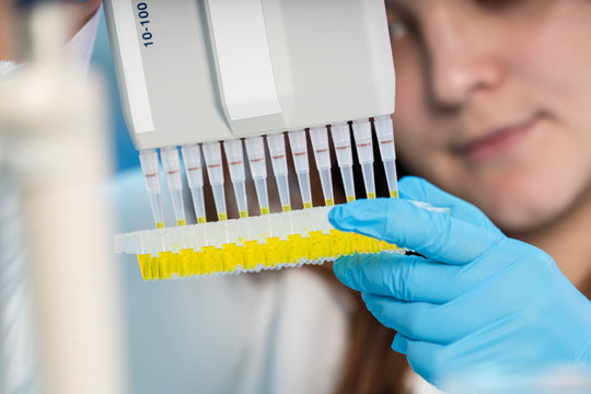 Multipipette Images – Browse 434 Stock Photos, Vectors, and Video ...