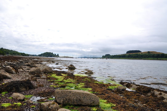 「Kinlochmore」の写真素材 | 20件の無料イラスト画像 | Adobe Stock