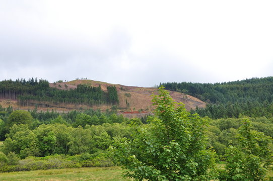 「Kinlochmore」の写真素材 | 20件の無料イラスト画像 | Adobe Stock