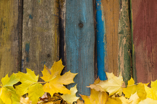 "Autumn Background" bilder – Bläddra bland 67,140 stockfoton, vektorer ...