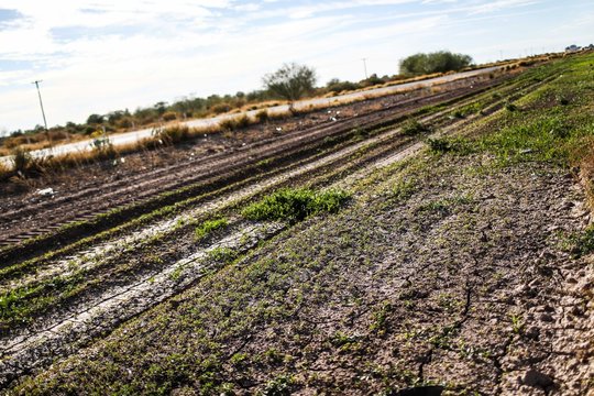 Zacate Images – Browse 57 Stock Photos, Vectors, and Video | Adobe Stock