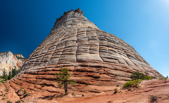 รูปภาพLithification – เลือกดูภาพถ่ายสต็อก เวกเตอร์ และวิดีโอ156 | Adobe Stock