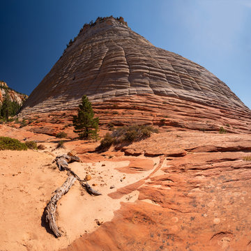 รูปภาพLithification – เลือกดูภาพถ่ายสต็อก เวกเตอร์ และวิดีโอ156 | Adobe ...