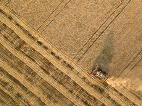 Dield Bilder – Durchsuchen 28 Archivfotos, Vektorgrafiken und Videos ...