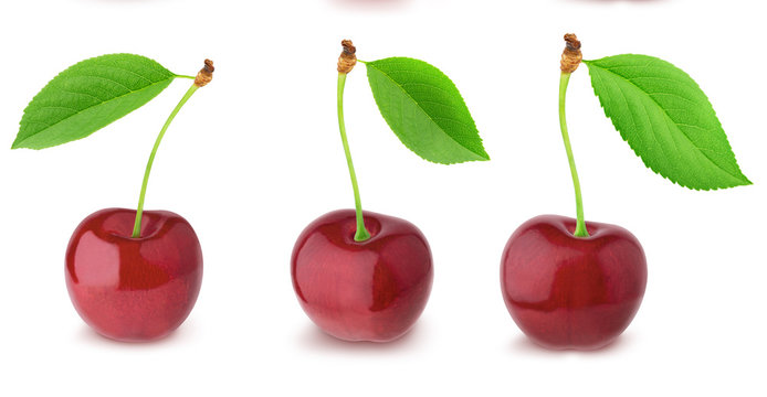รูปภาพCerry – เลือกดูภาพถ่ายสต็อก เวกเตอร์ และวิดีโอ588 | Adobe Stock