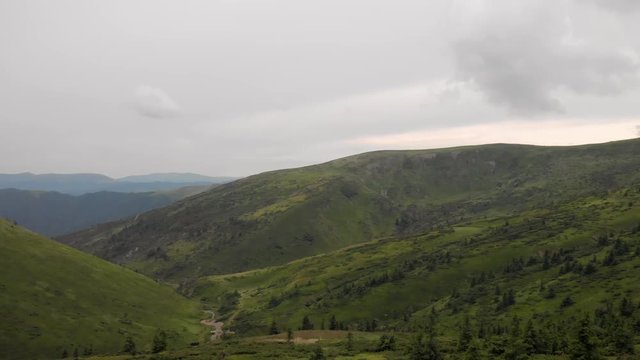 Front-Facing Images – Browse 197 Stock Photos, Vectors, and Video ...