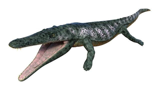 Imágenes de Labyrinthodontia: descubre bancos de fotos, ilustraciones ...