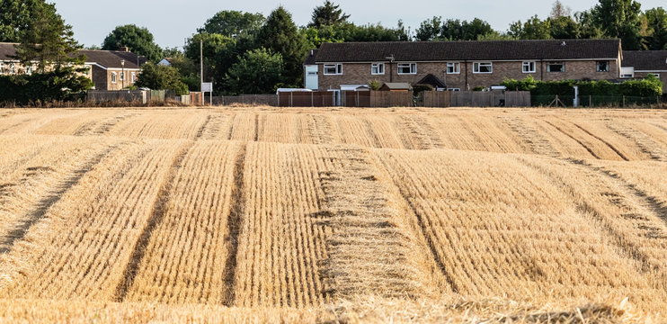 Birchanger Images – Browse 60 Stock Photos, Vectors, and Video | Adobe ...