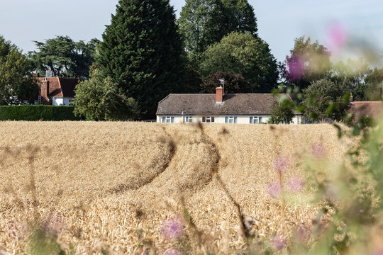 Birchanger Images – Browse 58 Stock Photos, Vectors, and Video | Adobe ...