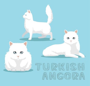 "Turkish Angora" Images – Browse 10,829 Stock Photos, Vectors, and ...