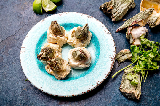 Picoroco Images – Browse 14 Stock Photos, Vectors, and Video | Adobe Stock