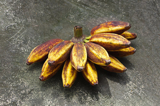 Bluggoe Images – Browse 78 Stock Photos, Vectors, and Video | Adobe Stock