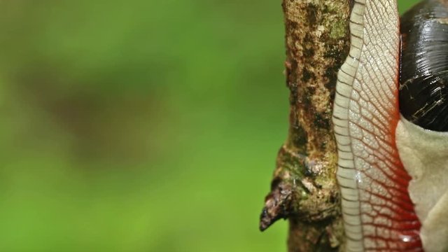 Ampulla Images – Browse 3,111 Stock Photos, Vectors, and Video | Adobe ...