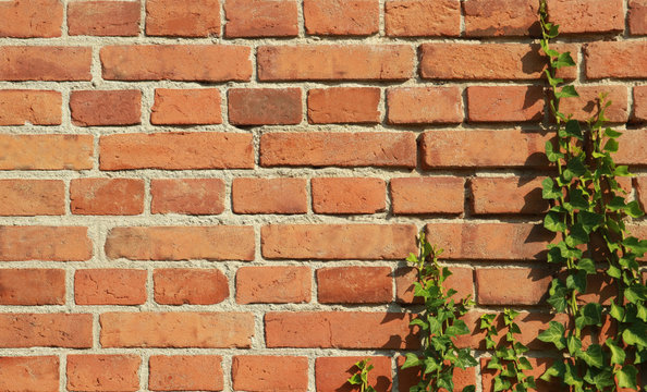 Brickstone Bilder – Durchsuchen 896 Archivfotos, Vektorgrafiken und ...