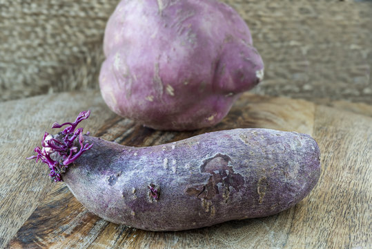 Speicherwurzel Images – Browse 11 Stock Photos, Vectors, and Video ...