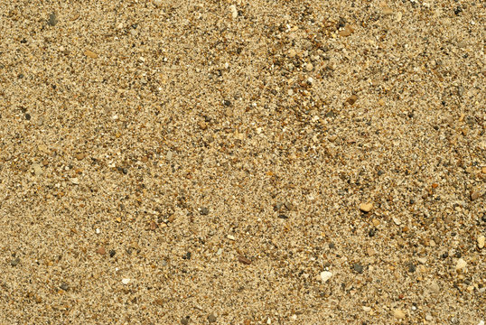 River Bottom Texture