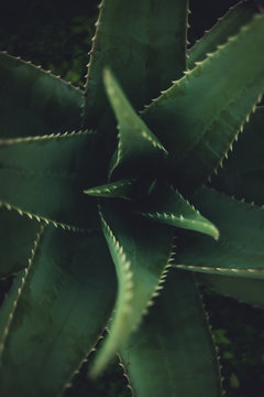 Savila Images – Browse 99 Stock Photos, Vectors, and Video | Adobe Stock