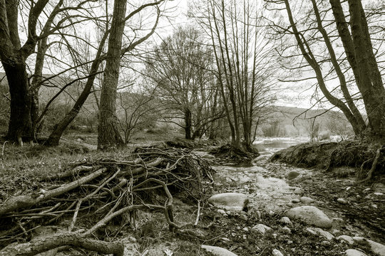 Riada Images – Browse 164 Stock Photos, Vectors, and Video | Adobe Stock