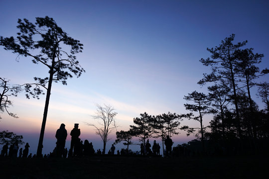 Twiling Bilder – Durchsuchen 124 Archivfotos, Vektorgrafiken und Videos ...