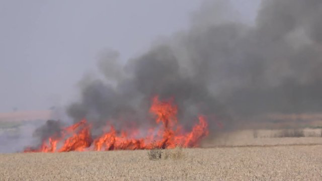 Nakba Imagens – Procure 118 fotos, vetores e vídeos | Adobe Stock