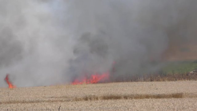 Nakba Imagens – Procure 118 fotos, vetores e vídeos | Adobe Stock