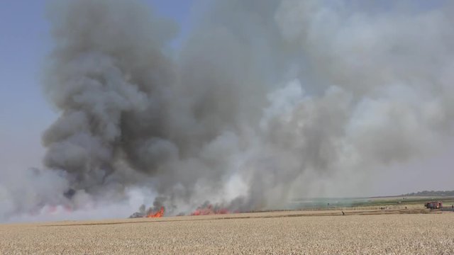 Nakba Imagens – Procure 118 fotos, vetores e vídeos | Adobe Stock