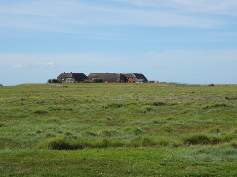 Warft Bilder – Durchsuchen 824 Archivfotos, Vektorgrafiken und Videos ...