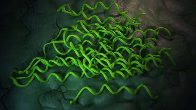 รูปภาพSyphilis – เลือกดูภาพถ่ายสต็อก เวกเตอร์ และวิดีโอ10,224 | Adobe Stock