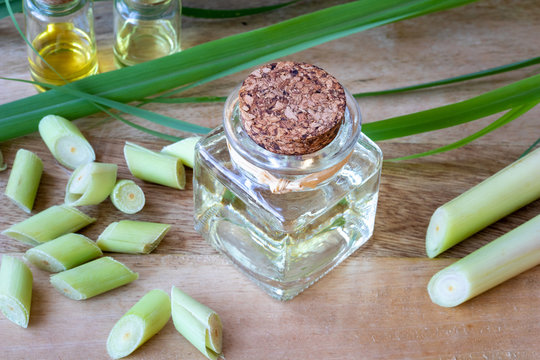 Tanglad Images – Browse 58 Stock Photos, Vectors, and Video | Adobe Stock