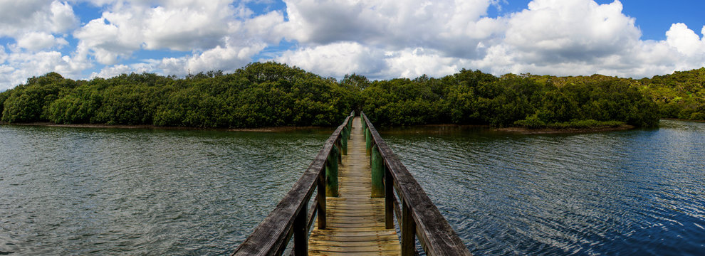 Jutia Bilder – Durchsuchen 228 Archivfotos, Vektorgrafiken und Videos ...