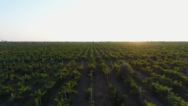 Kacha Images – Browse 328 Stock Photos, Vectors, and Video | Adobe Stock