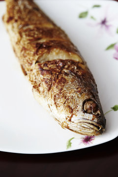 「Jogi」の写真素材 | 182件の無料イラスト画像 | Adobe Stock