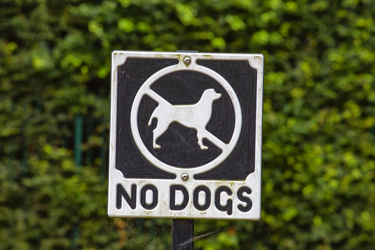 "No Dogs" Images – Browse 801 Stock Photos, Vectors, and Video | Adobe ...