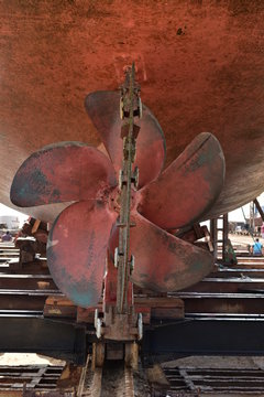 Elice Images – Browse 59 Stock Photos, Vectors, and Video | Adobe Stock