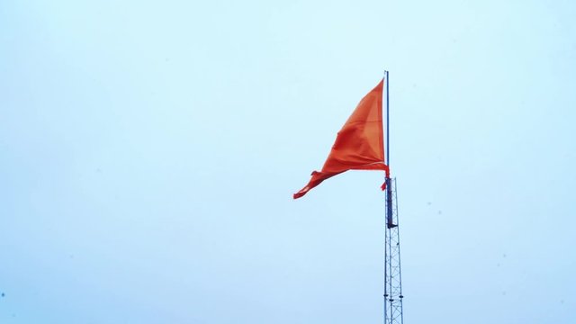 Shiv Sena Flag Wallpaper