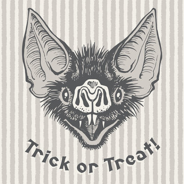 Desmodus Images – Browse 98 Stock Photos, Vectors, and Video | Adobe Stock