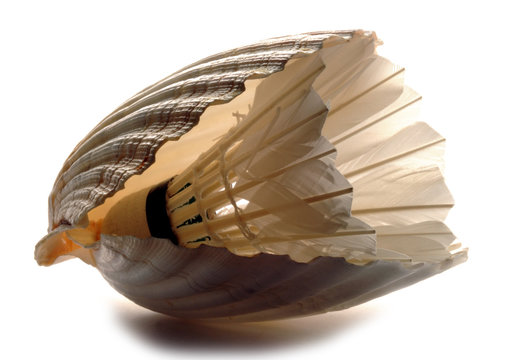 羽毛球 Images – Browse 11 Stock Photos, Vectors, and Video | Adobe Stock