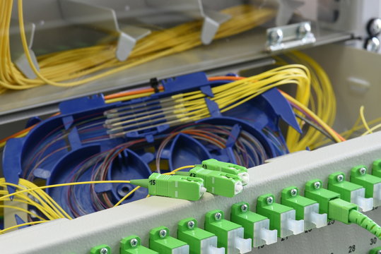 Odf Images – Browse 224 Stock Photos, Vectors, and Video | Adobe Stock