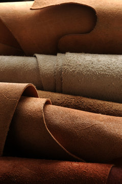 Pelli Images – Browse 5 Stock Photos, Vectors, and Video | Adobe Stock